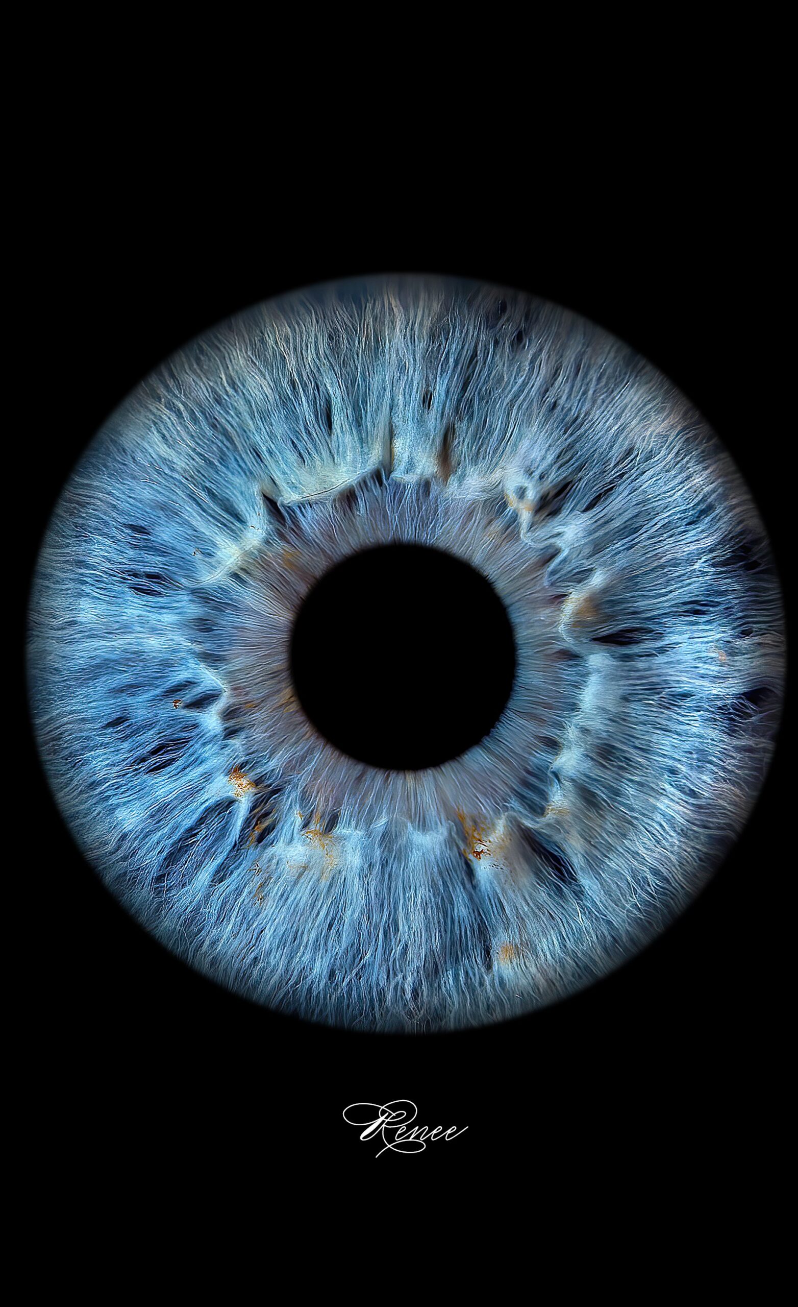 Renee’s Wish was to have a photo of her iris taken with her family ...